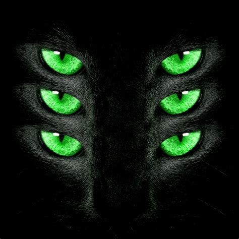 Stream Una Gata X La Gasolina Daddy Yankee Six Sex Don Amor Mashup Free Download By Don