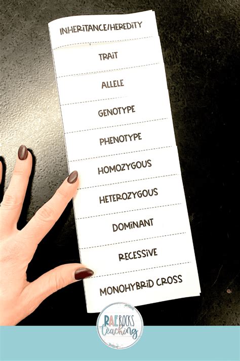 4 Easy Foldables In The Classroom I Use To Teach Mendelian Genetics Rae Rocks Teaching