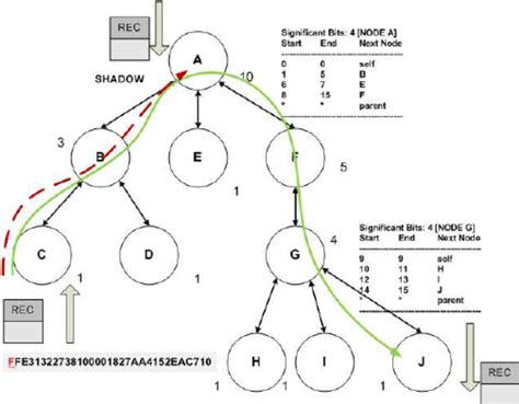 MDNS Session Registration And Insertion Download Scientific Diagram