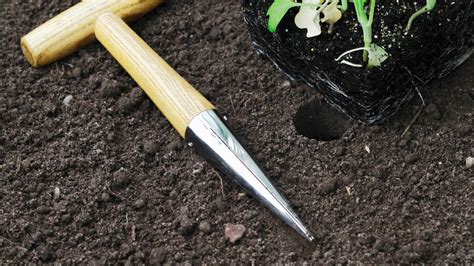 Plant Propagation Equipment 16 Necessary And Nice To Have Gardening