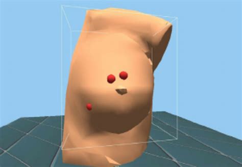 Breast Palpation Virtual Environment Download Scientific Diagram