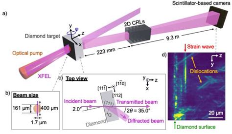 Figure 1 From Dark Field X Ray Microscopy For 2d And 3d Imaging Of Microstructural Dynamics At
