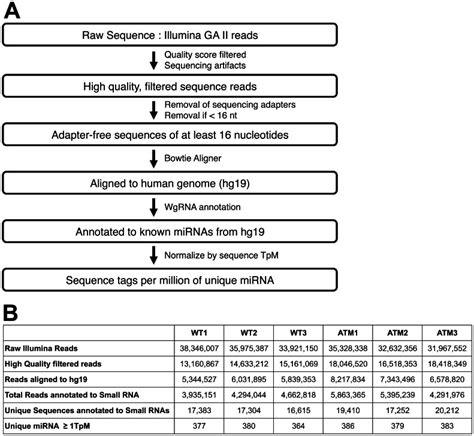 A Small Rna Sequencing Pipeline Overview B Summary Statistics Of