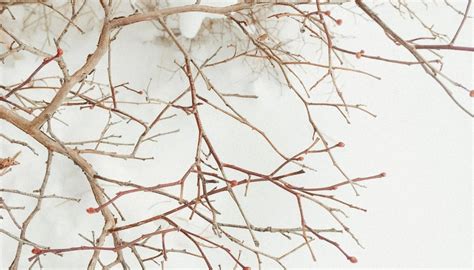 Link Prediction Recommendation Engines With Node2vec Rgraphtheory