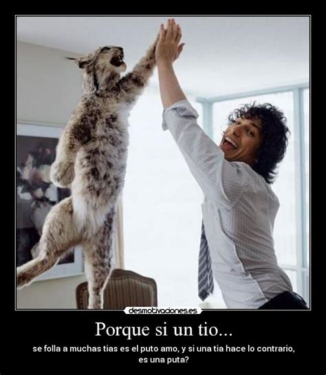 Usuario Sfa Desmotivaciones