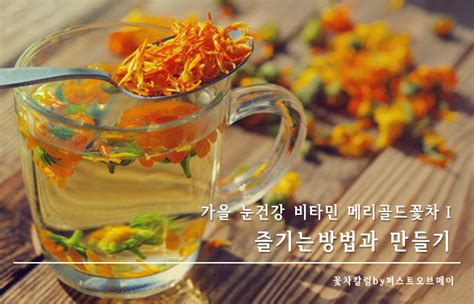 가을 눈건강 비타민 꽃차 메리골드꽃차 1 메리골드꽃차 즐기는방법 메리골드꽃차 만들기 네이버 블로그