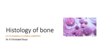 Bone Histology Pptx