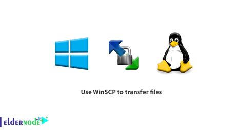 tutorial how to use winscp to transfer files eldernode blog