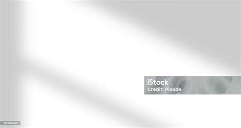 사실적인 흐릿한 자연광 나뭇잎 손바닥 및 창 그림자 오버레이가 벽 종이 또는 프레임 질감 추상 배경 여름 봄 가을에 제품 프레젠테이션 연단 및 모형 계절에 적용됩니다 창문에