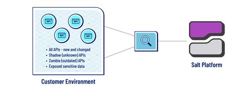 Exclusive Networks Vendors Salt Security