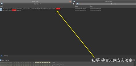 【flutter对抗】blutter使用actf习题 知乎 【flutter对抗】blutter使用actf习题 知乎