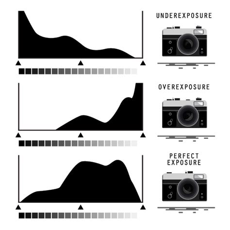 Histogram Discover How To Take Better Photos By Exposing To The Right