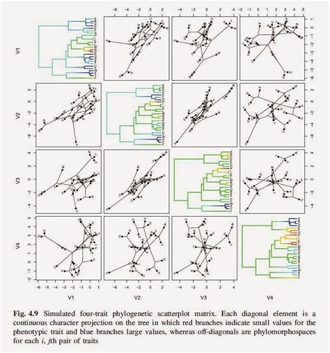 Phylogenetic Tools For Comparative Biology Modern Phylogenetic Comparative Methods Book Now