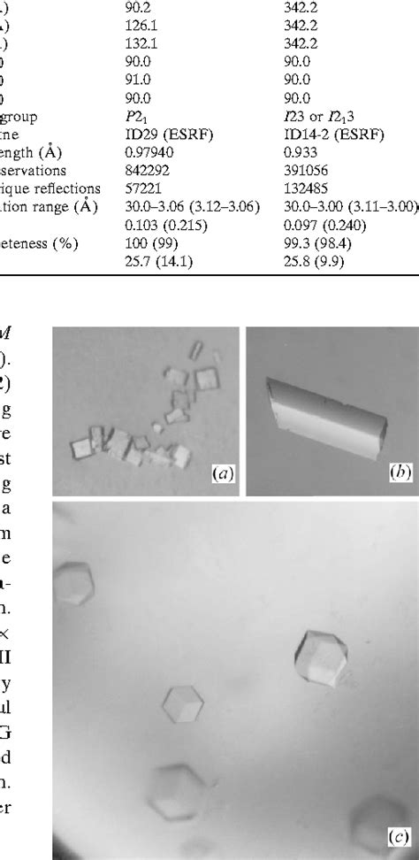 Figure 1 From X Ray Analysis Of Two Antibiotic Synthesizing Bacterial