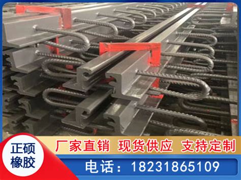 衡水正硕橡塑科技有限公司