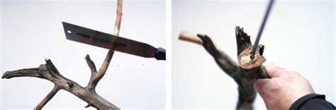 DIY Branch Table Lamp The Merrythought