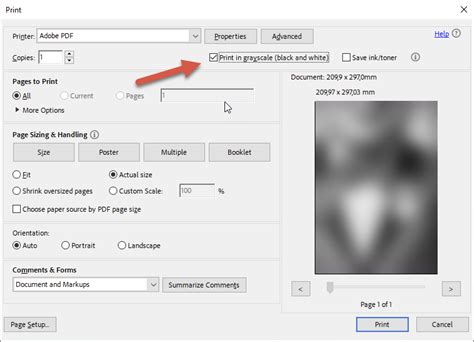 Solved Can Not Print In Grayscale Adobe Product Community 13496943