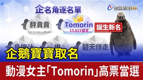 企鵝寶寶取名 動漫女主「tomorin」高票當選 Youtube