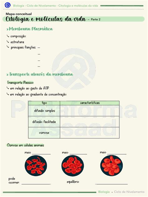 Mapa Conceitual Citologia 2 Pdf Membrana Celular Biologia Celular
