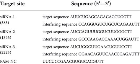 Sirna Target Site And Sequence Download Scientific Diagram
