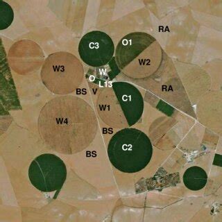 Study Area And Fields Codes Download Scientific Diagram