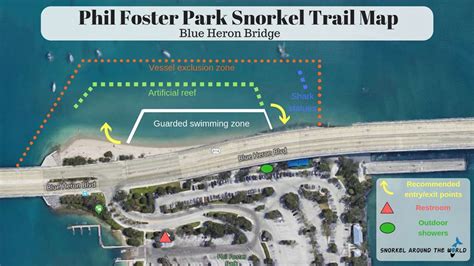 Guide To Snorkeling At Blue Heron Bridge Phil Foster Park Florida