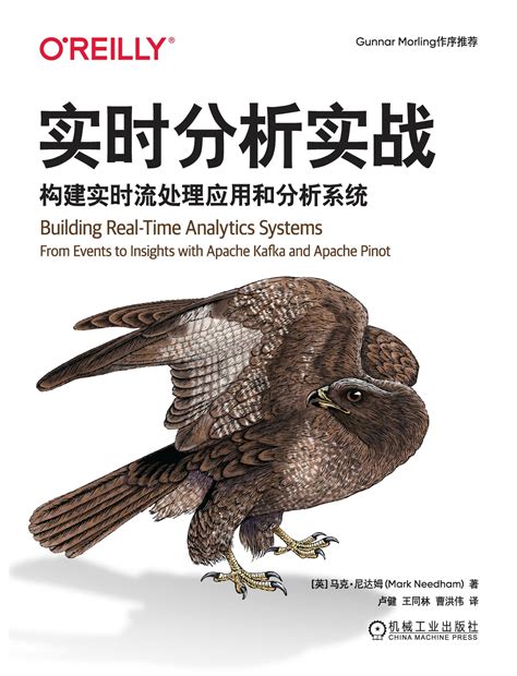 实时分析实战：构建实时流处理应用和分析系统 Pdfepubmobiazw3 格式 Kindle 电子书免费下载 Nmod 优质电子书