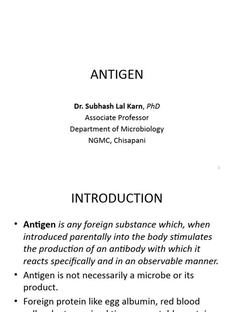 Antigen Pdf Antigen Immunogenicity