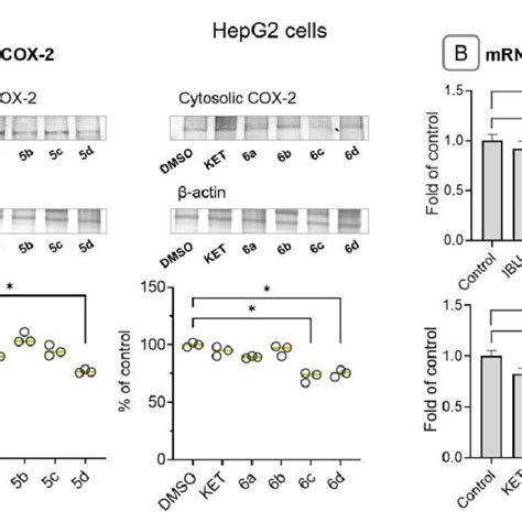 The Brief Scheme Of Synthesis And Chemical Structures Of Oleanolic Acid Download Scientific