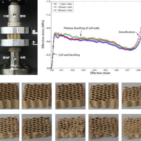 In Plane Tensile Testing Of The Honeycomb Core Download Scientific