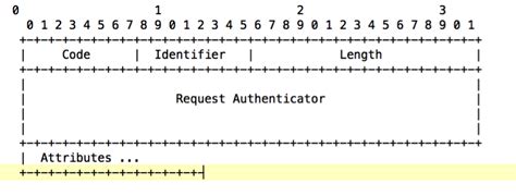 programming for beginners radius access request packet