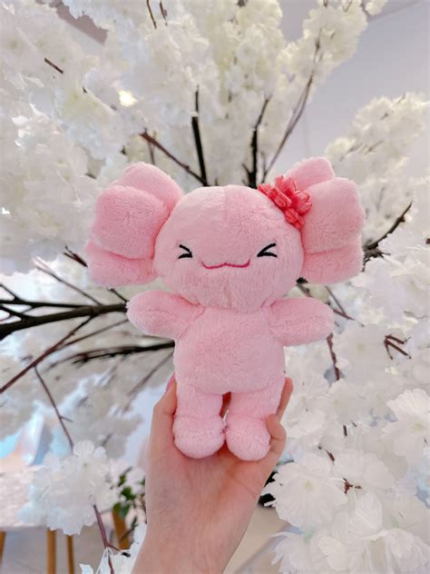 Agi The Axolotl Plush Doll Agi Jagi Shop