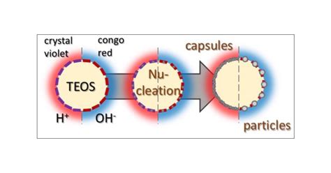 Investigation Of The Mechanism Of SiO2 Particle And Capsule Formation At The OilWater Interface