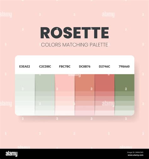 Farbpalette In Einer Kollektion Mit Dem Thema „passion