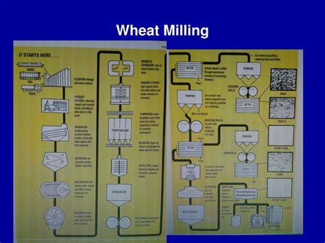 Ppt Byproduct Feeds From Grain Processing Powerpoint Presentation
