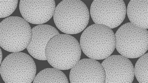 Workflow And Techniques For Using Preparative Liquid Chromatography
