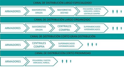 Canales De Distribución Ejemplos Reales