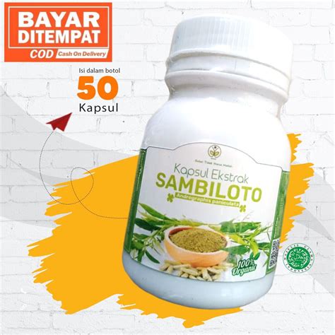 Kapsul Sambiloto Ekstrak Daun Sambiroto Murni Lazada Indonesia