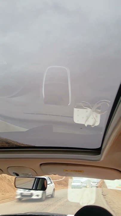 ای دختر صحرا نیلوفر Youtube