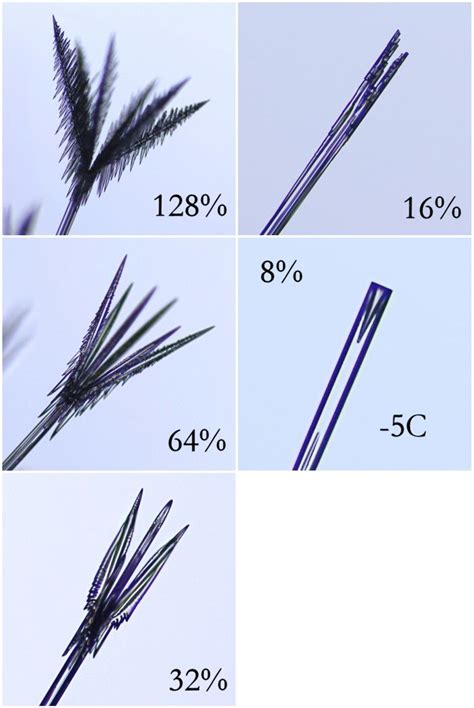 Left Observations Of The Growth Of Columnar And Dendritic Structures