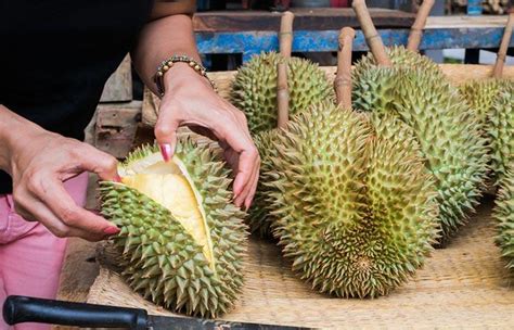 11 Promising Health Benefits Of The Nutritious Durian Fruit