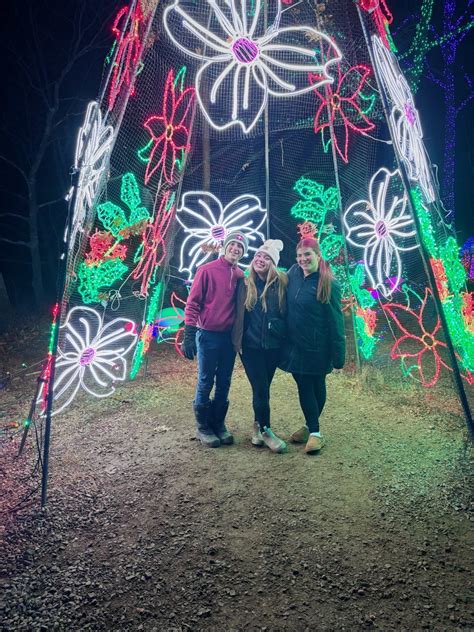 Gallery Annabelle Norwalt Vsco