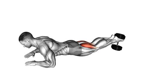 Dumbbell Lying Hamstring Curl Video Guide Lyfta