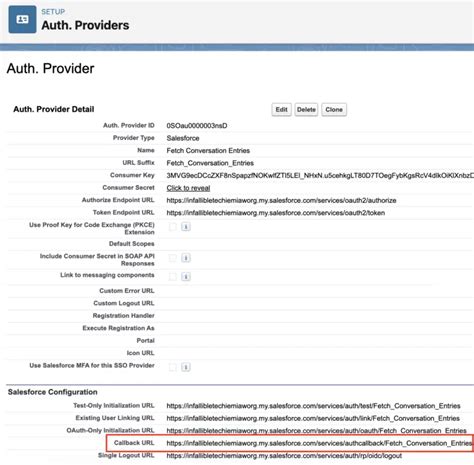 Display Salesforce Conversation Entries In Tabular Format