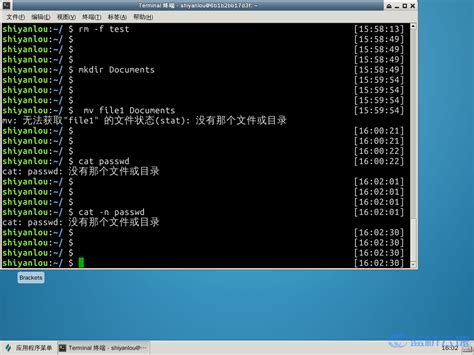 Linux 目录结构及文件基本操作 蓝桥云课