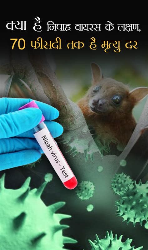 क्या हैं निपाह वायरस के लक्षण 70 फीसदी तक है मृत्यु दर