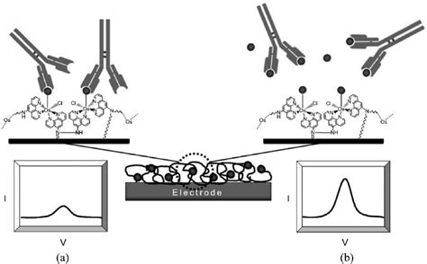 Schematic Diagrams Of A Electrochemical Immunoassay A Shows The