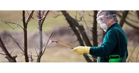 Пазете овошките от болести и неприятели Български Фермер