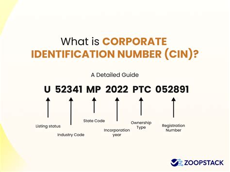 Cin Simplified A Complete Guide