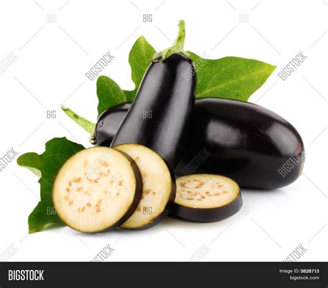 Eggplant Vegetable Image And Photo Free Trial Bigstock